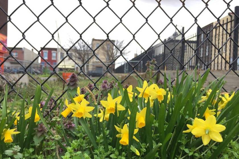 Garden Fence | Chain Link, Welded Wire, Steel Park Fencing - ABX Metal